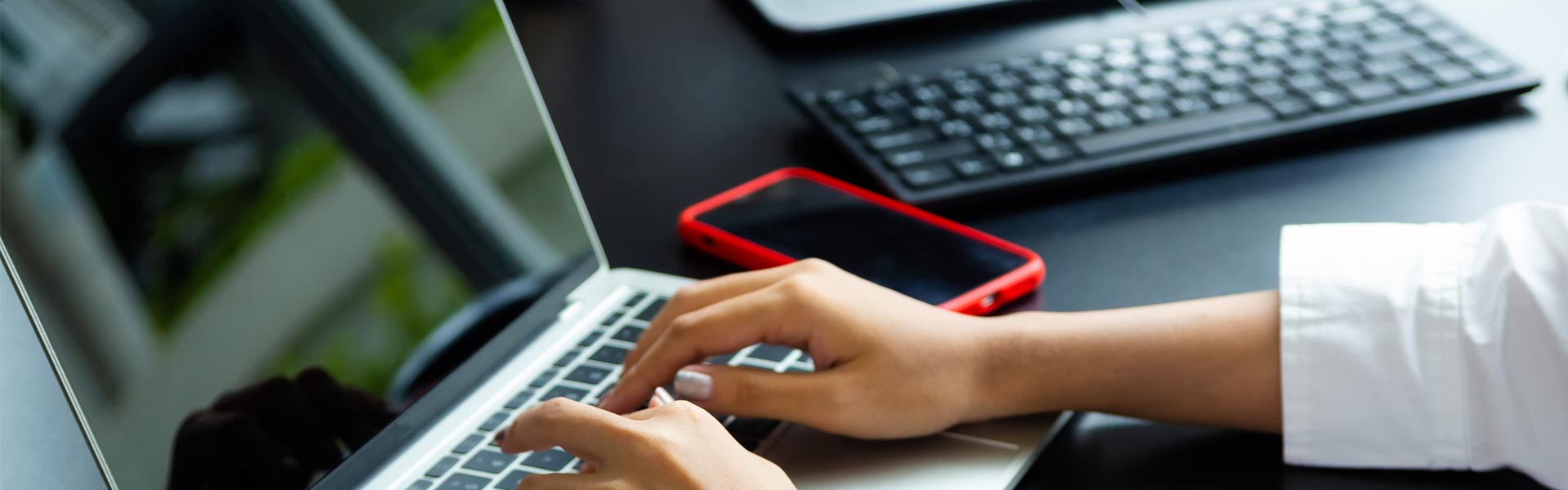 About Best Web Development Institute in Rohini Delhi